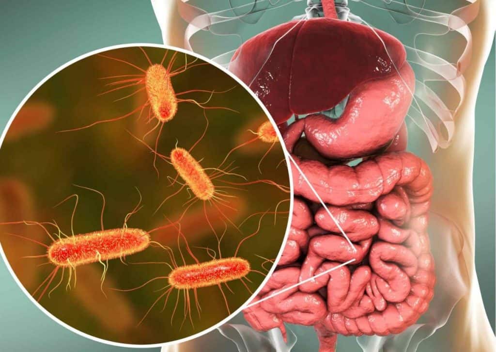 Mikrobiomanalyse: Ist diese Untersuchung sinnvoll?